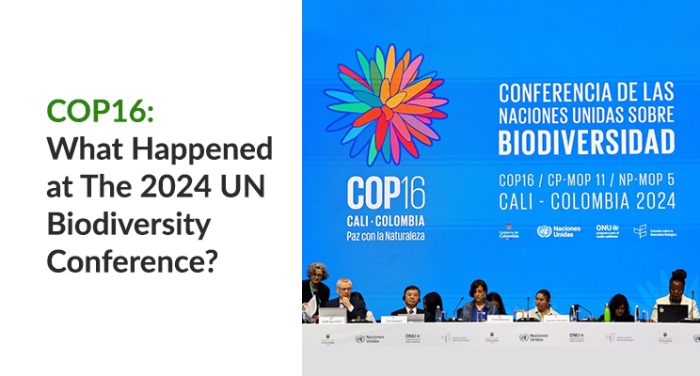 COP16: What Happened at The 2024 UN Biodiversity Conference? - Fuller ...