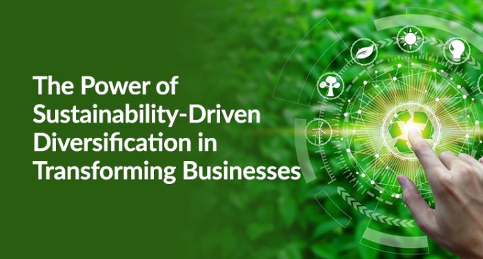 The Power of Sustainability-Driven Diversification in Transforming ...