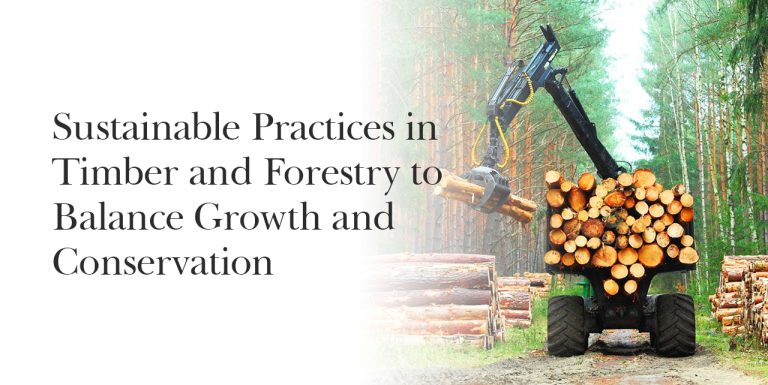 Sustainable Practices in Timber and Forestry to Balance Growth and ...